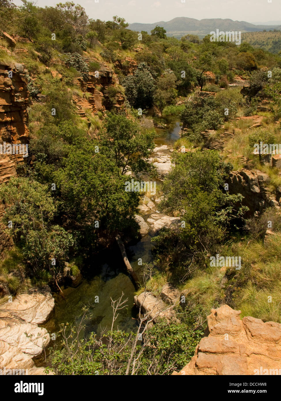 River swim johannesburg hi-res stock photography and images - Alamy