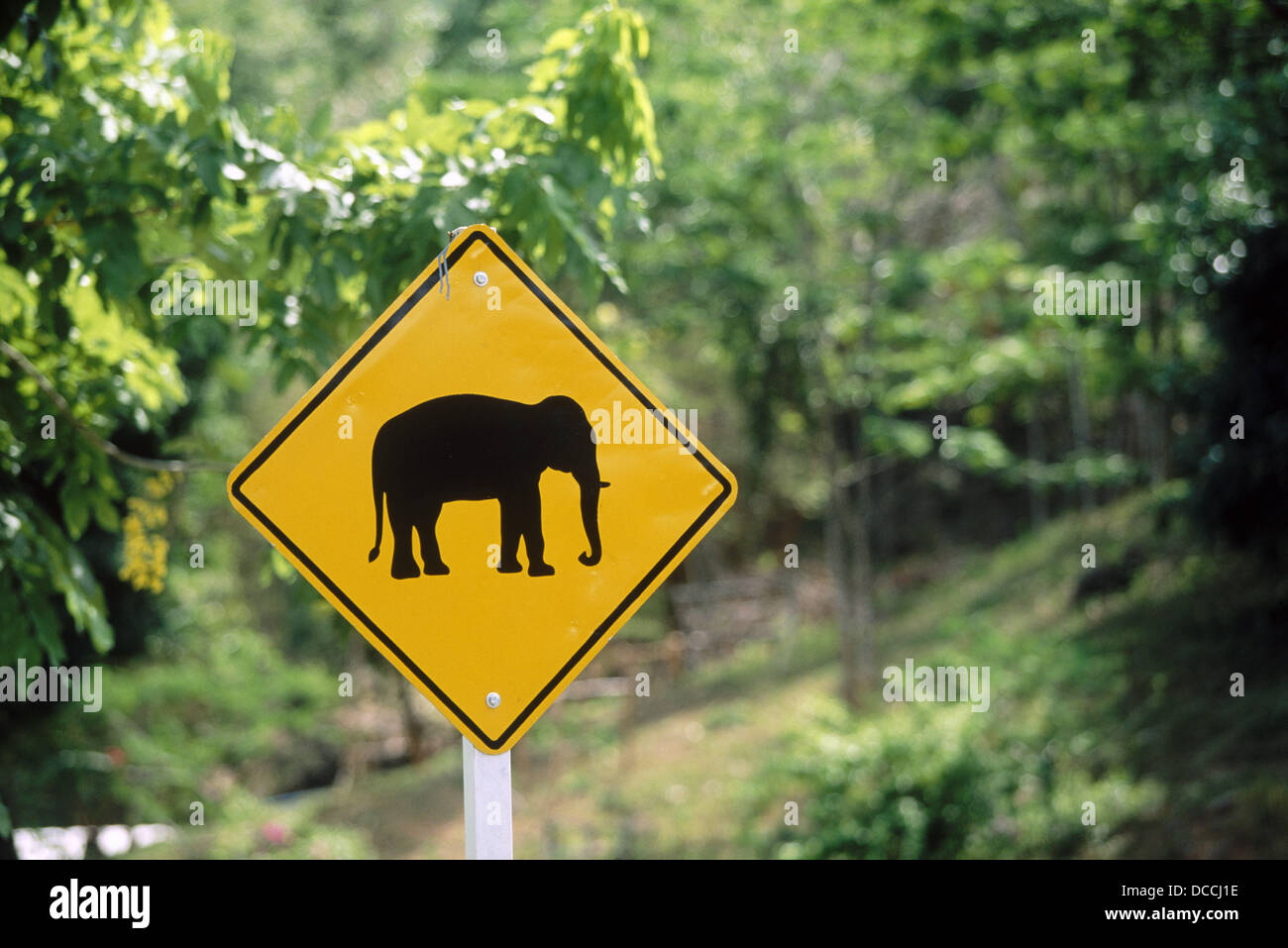 Traffic Sign Caution Elephants Stock Photos & Traffic Sign Caution ...