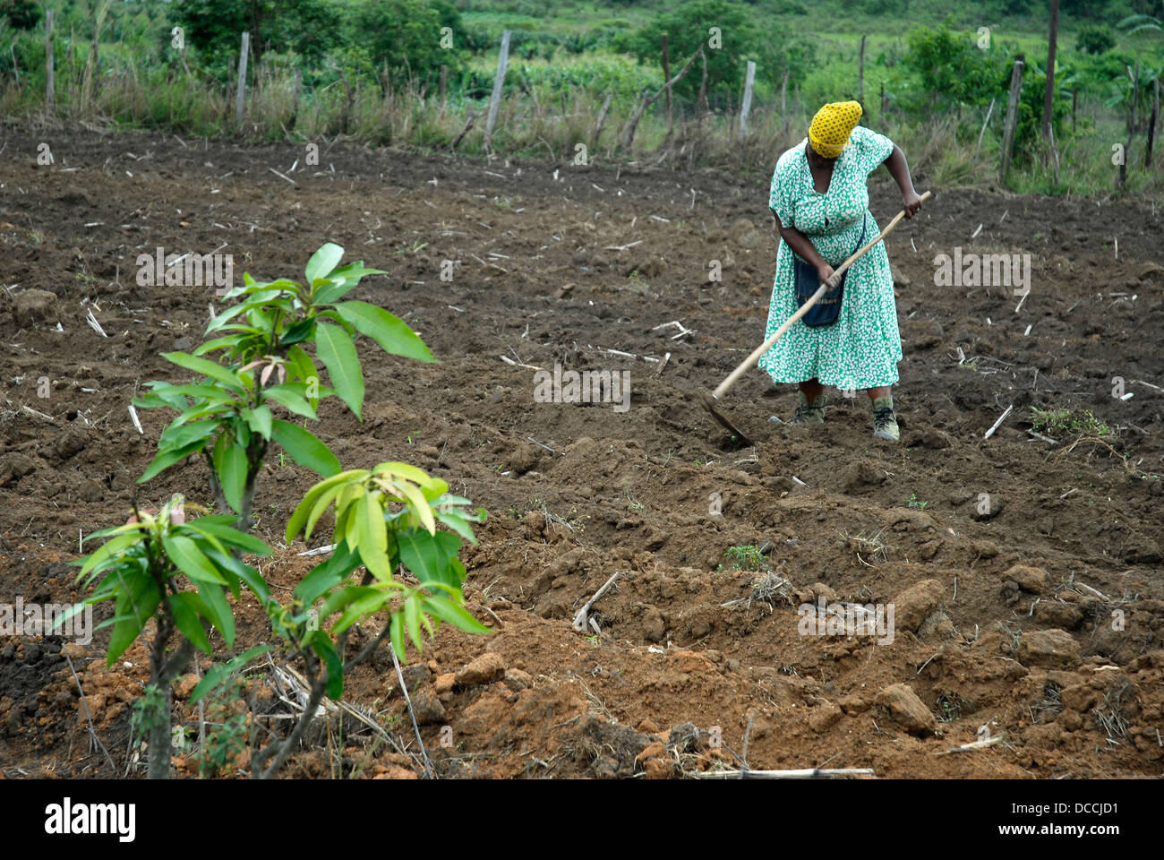 Swaziland 2006 Rural farming practices and problems faced by ...