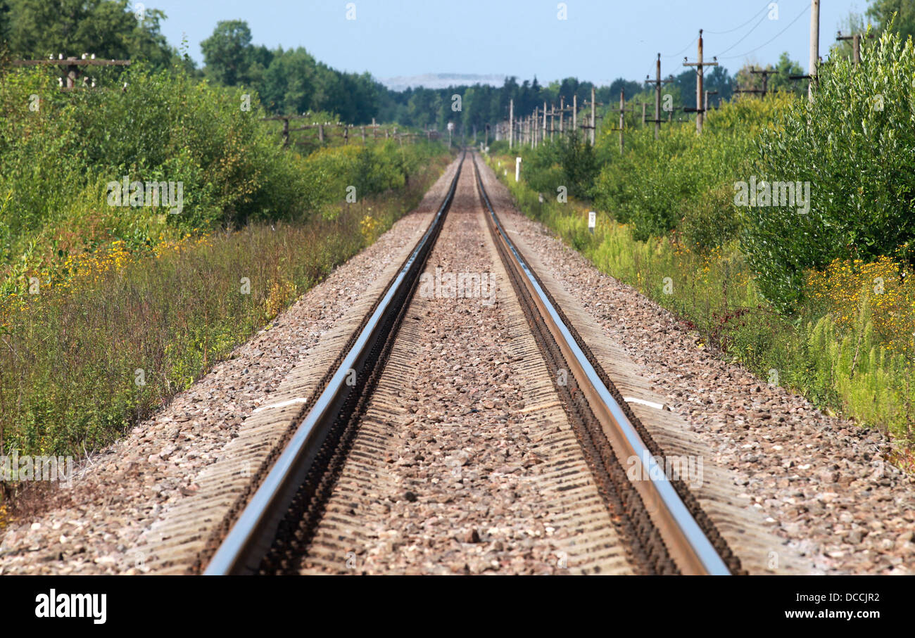 Straight railway perspective with poles, green grass and blue sky Stock ...