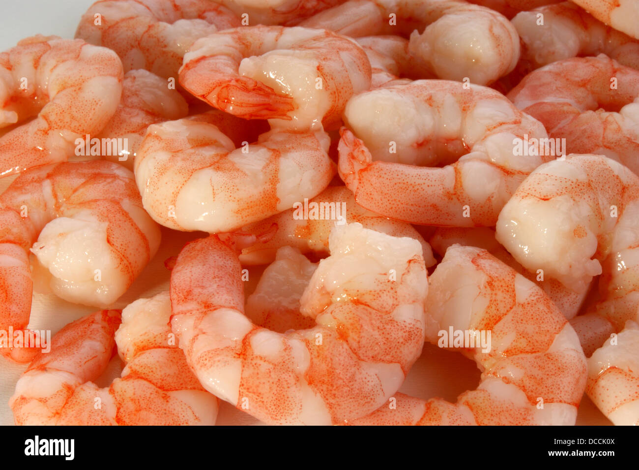 some fresh organic prawns ready to eat Stock Photo - Alamy