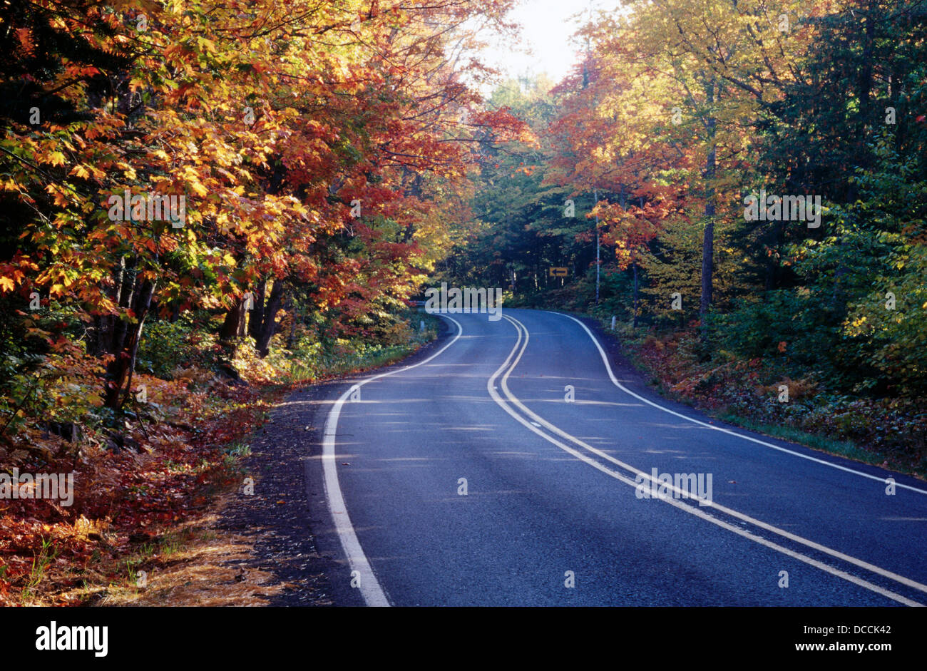 Road in fall. Michigan. USA Stock Photo - Alamy