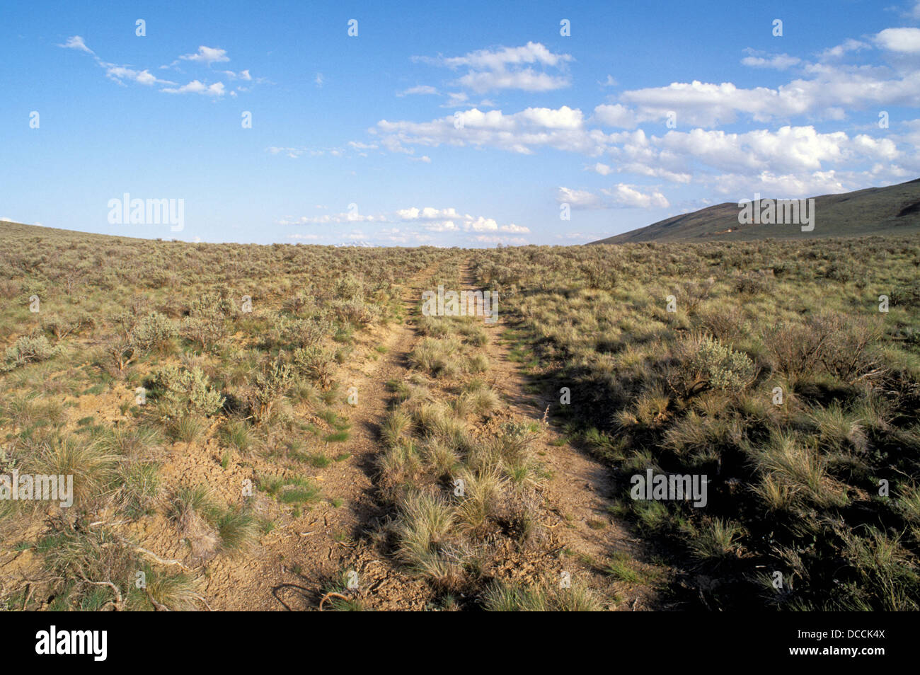Ruts oregon trail hi-res stock photography and images - Alamy