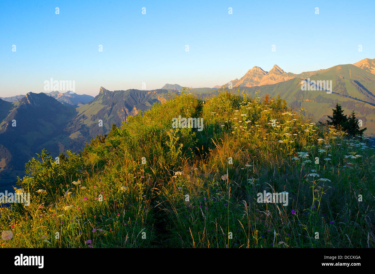 Path leading to top of mountain in front of the Swiss Alps in the ...