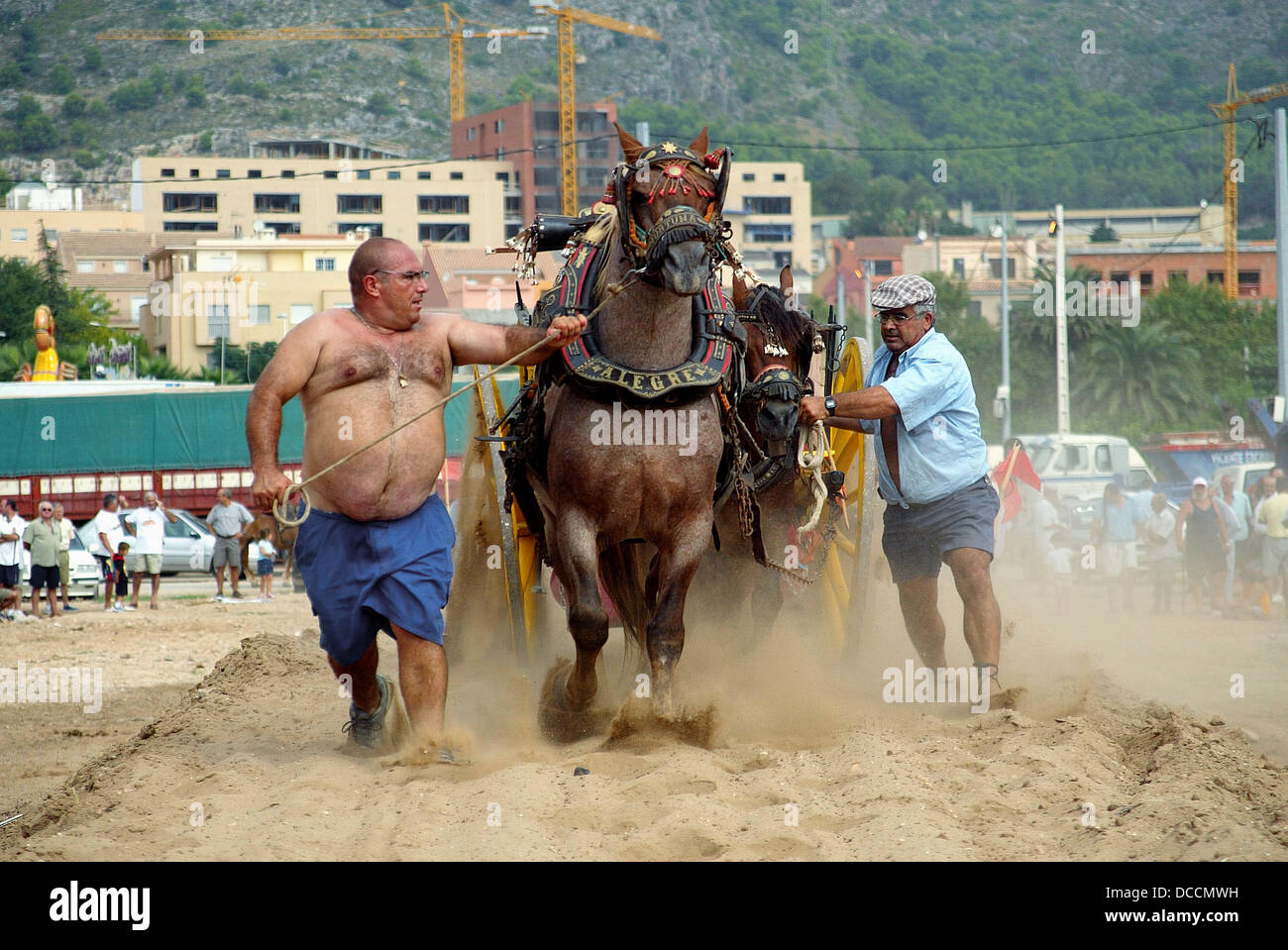 Draft horse pair hi-res stock photography and images - Alamy