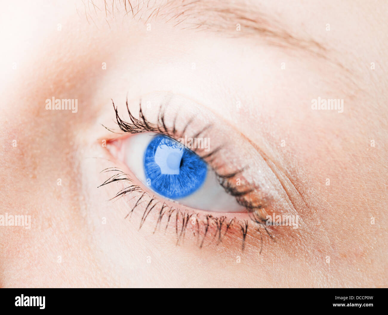 beautiful blue eye Stock Photo - Alamy