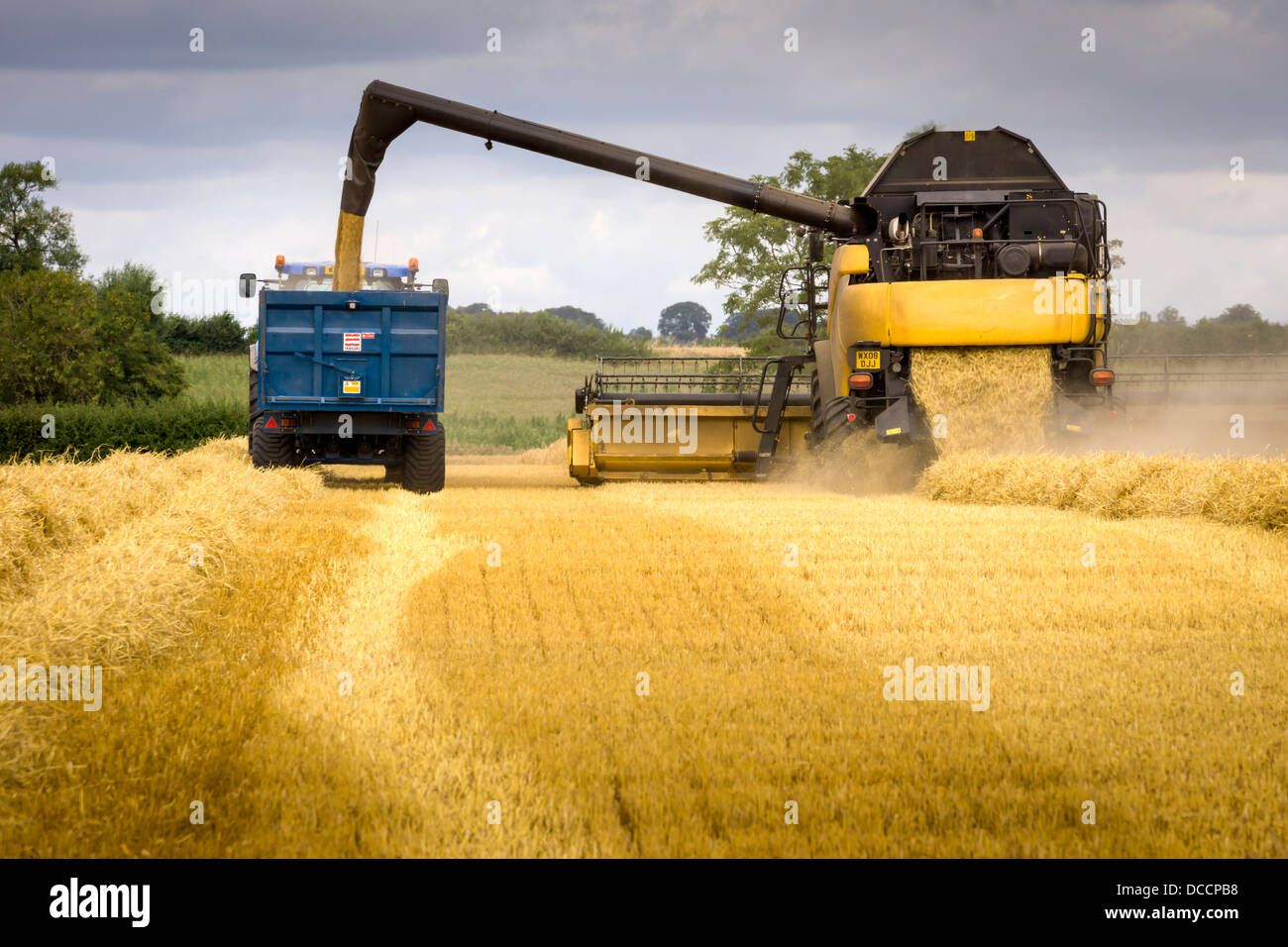 Combine Harvester at work Stock Photo - Alamy