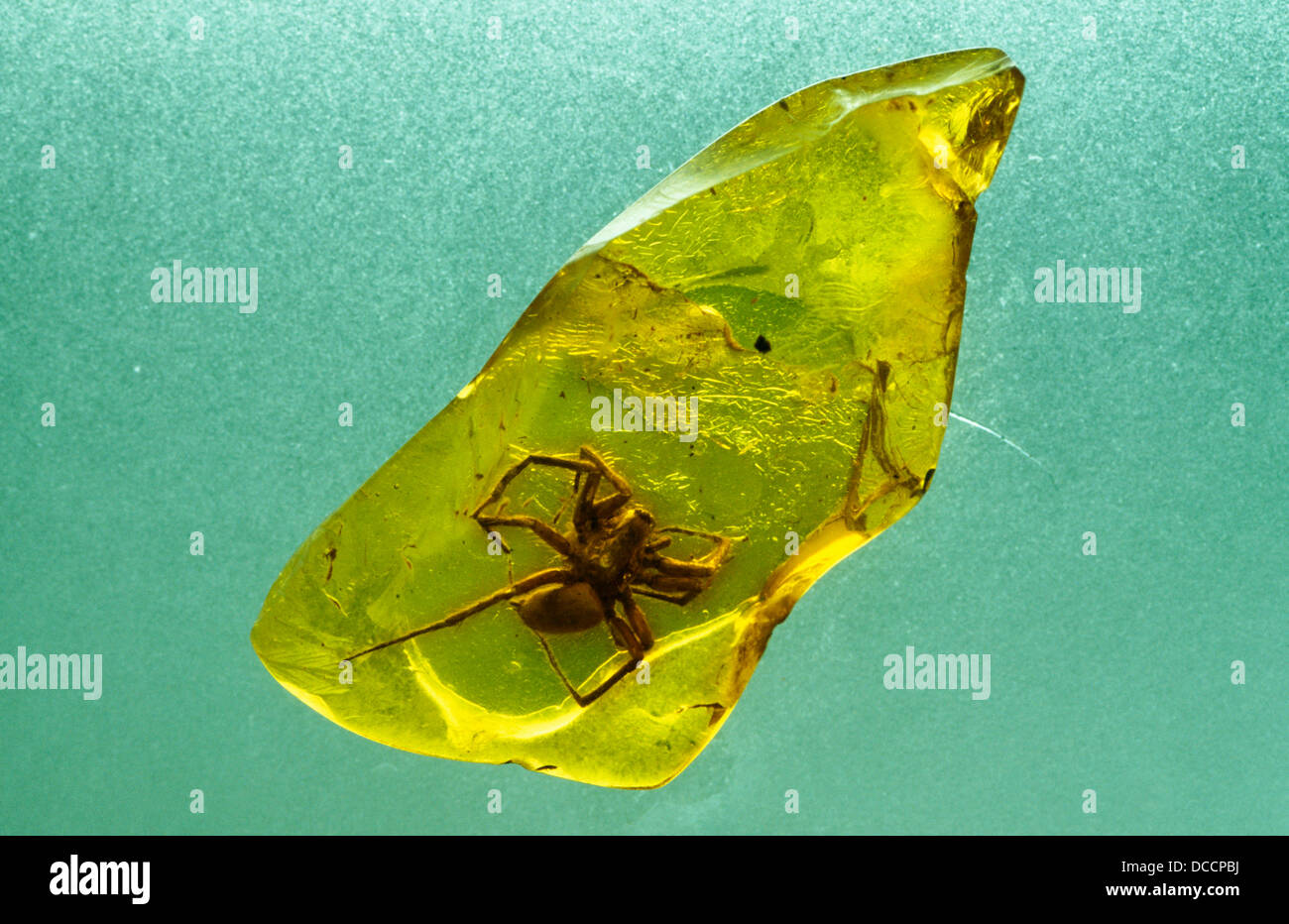 Ambar color hi-res stock photography and images - Alamy