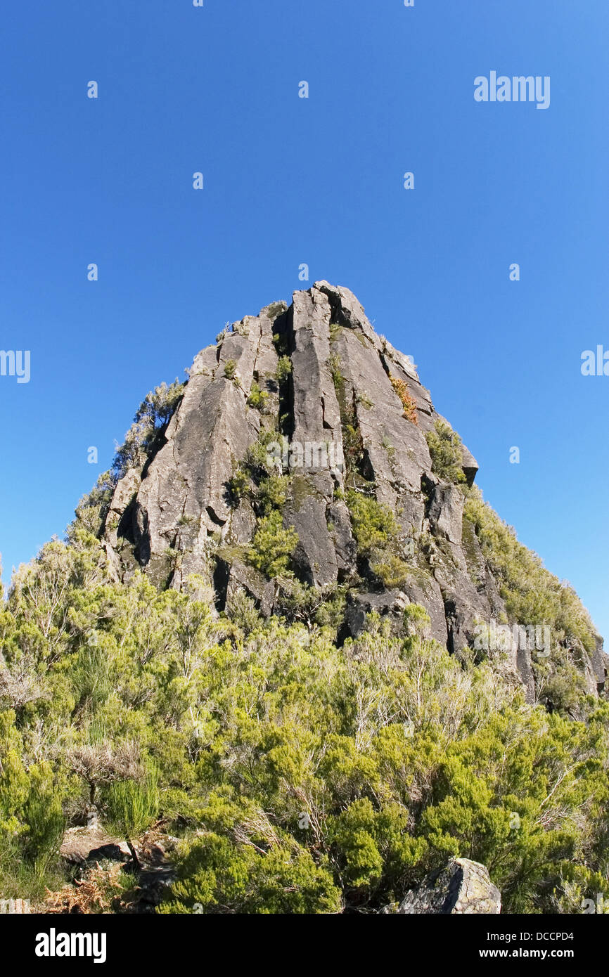 Pinaculo madeira portugal hi-res stock photography and images - Alamy