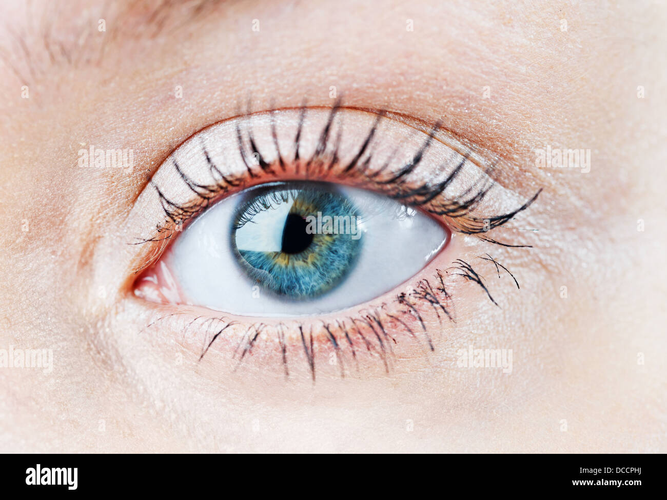 Human blue eye. macro shooting Stock Photo - Alamy