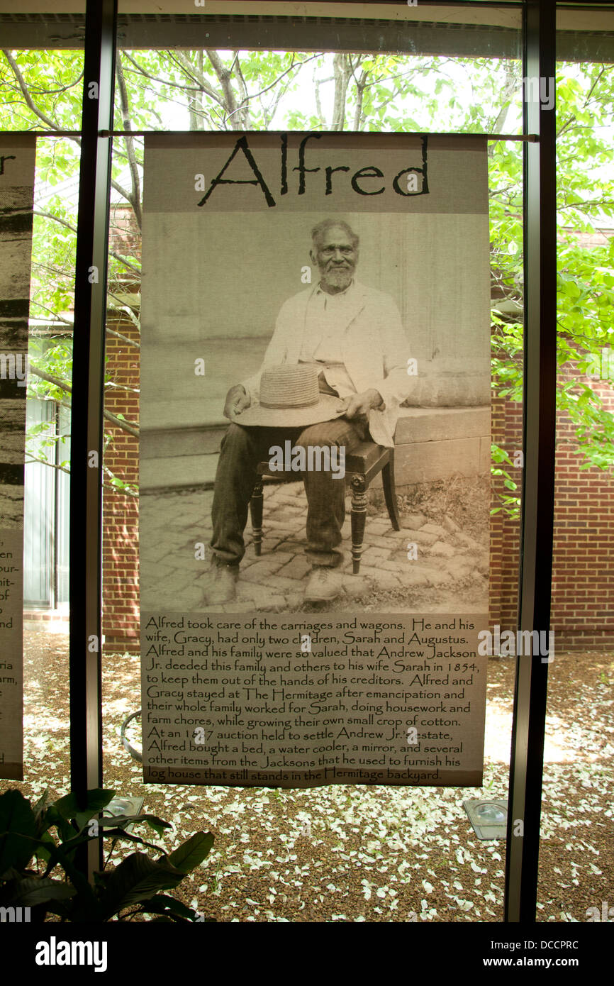 Photo of Uncle Alfred a slave at the Hermitage the plantation home of ...