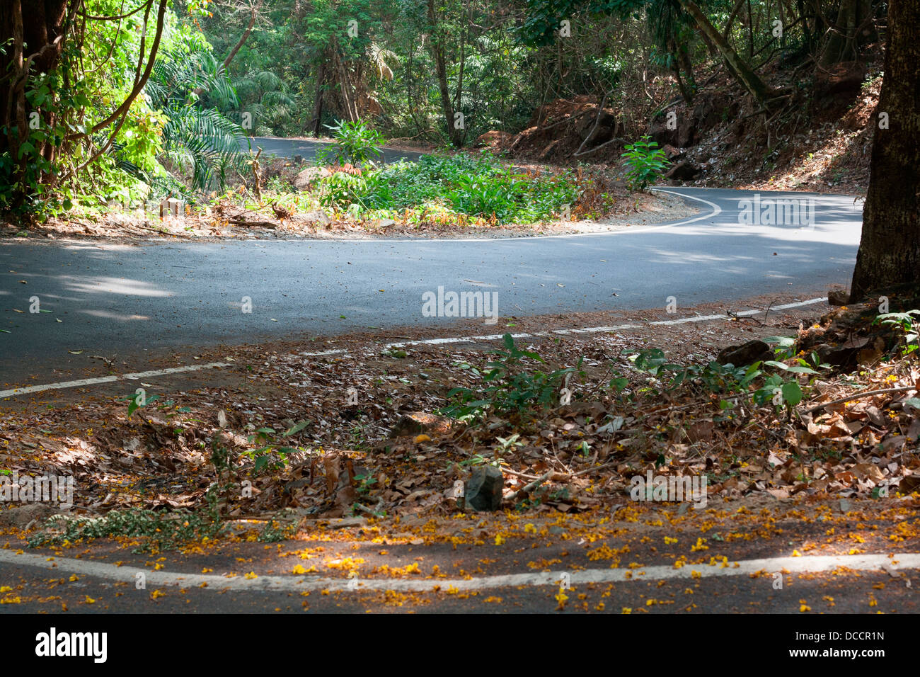 Bondla wildlife sanctuary hi-res stock photography and images - Alamy