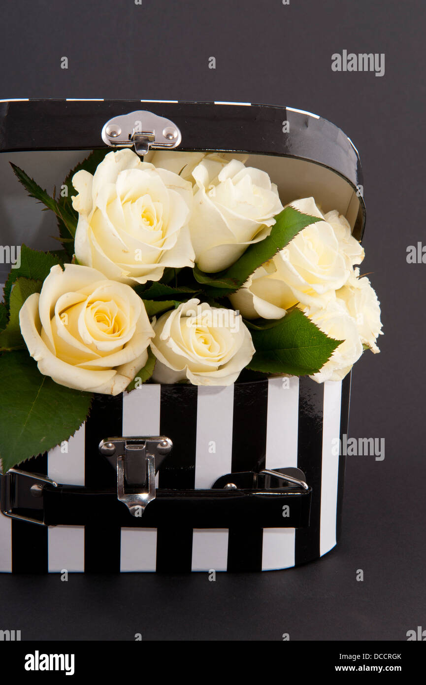 White decorative roses Stock Photo - Alamy