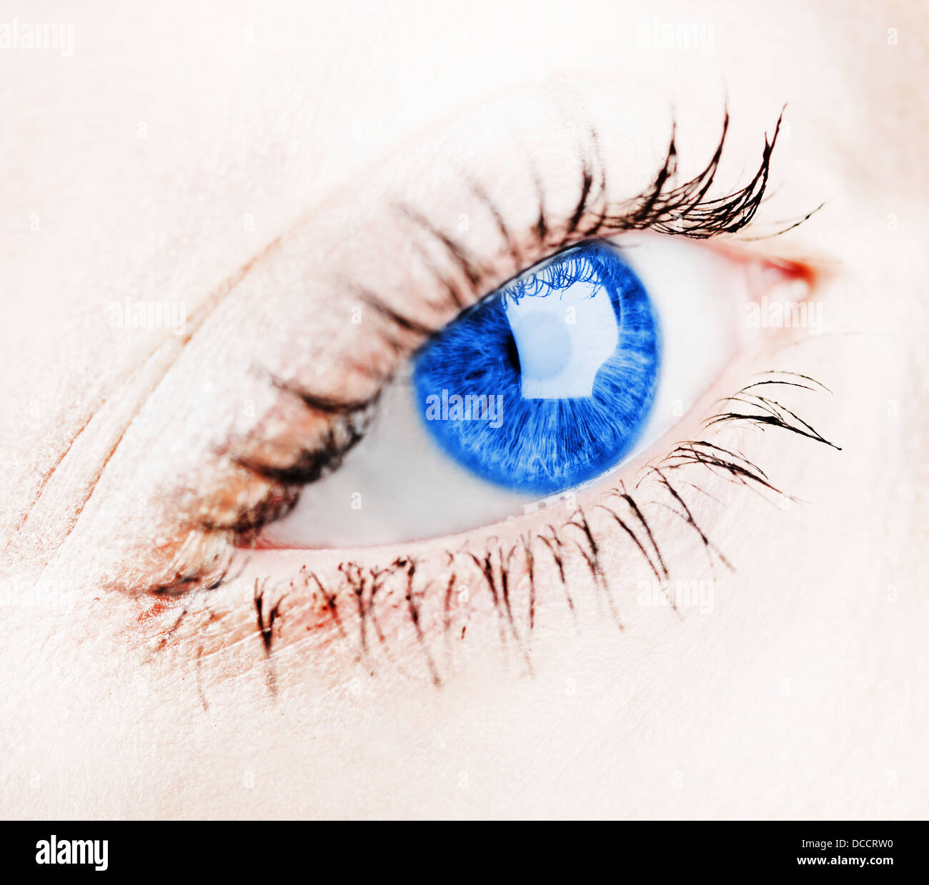 beautiful blue eye Stock Photo - Alamy