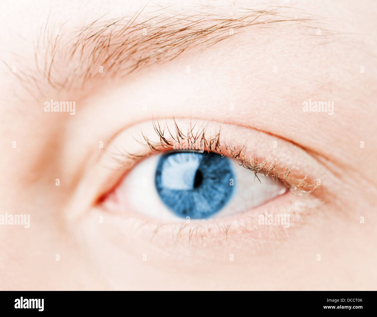 Human blue eye. macro shooting Stock Photo - Alamy