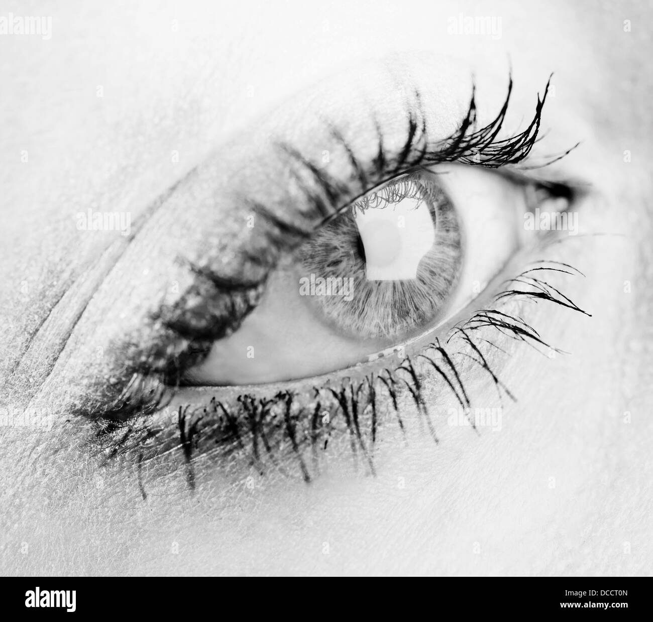 beautiful female eye Stock Photo - Alamy