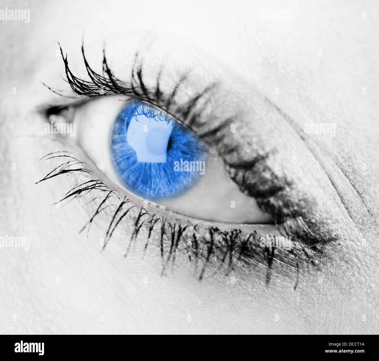 beautiful blue eye Stock Photo - Alamy