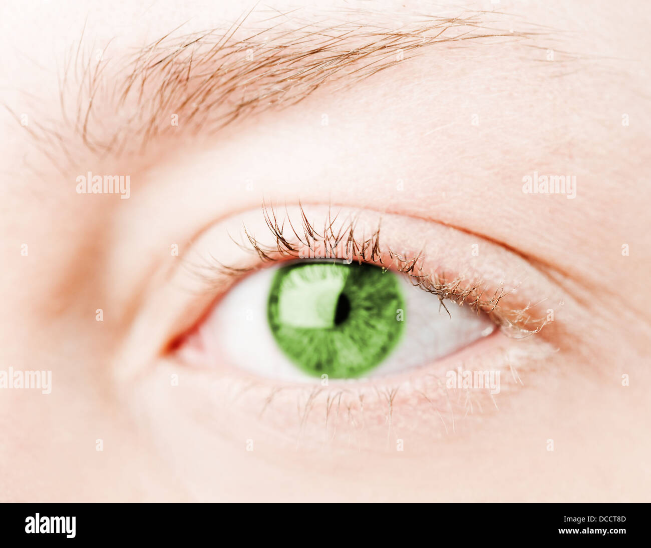 Human green eye. macro shooting Stock Photo - Alamy