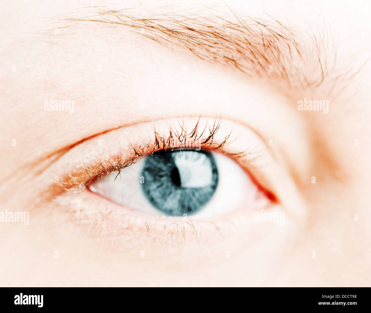 Human blue eye. macro shooting Stock Photo - Alamy