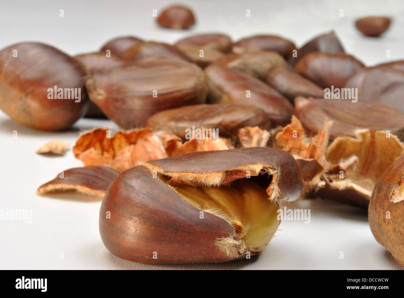 open organic sweet chestnut and white background Stock Photo - Alamy
