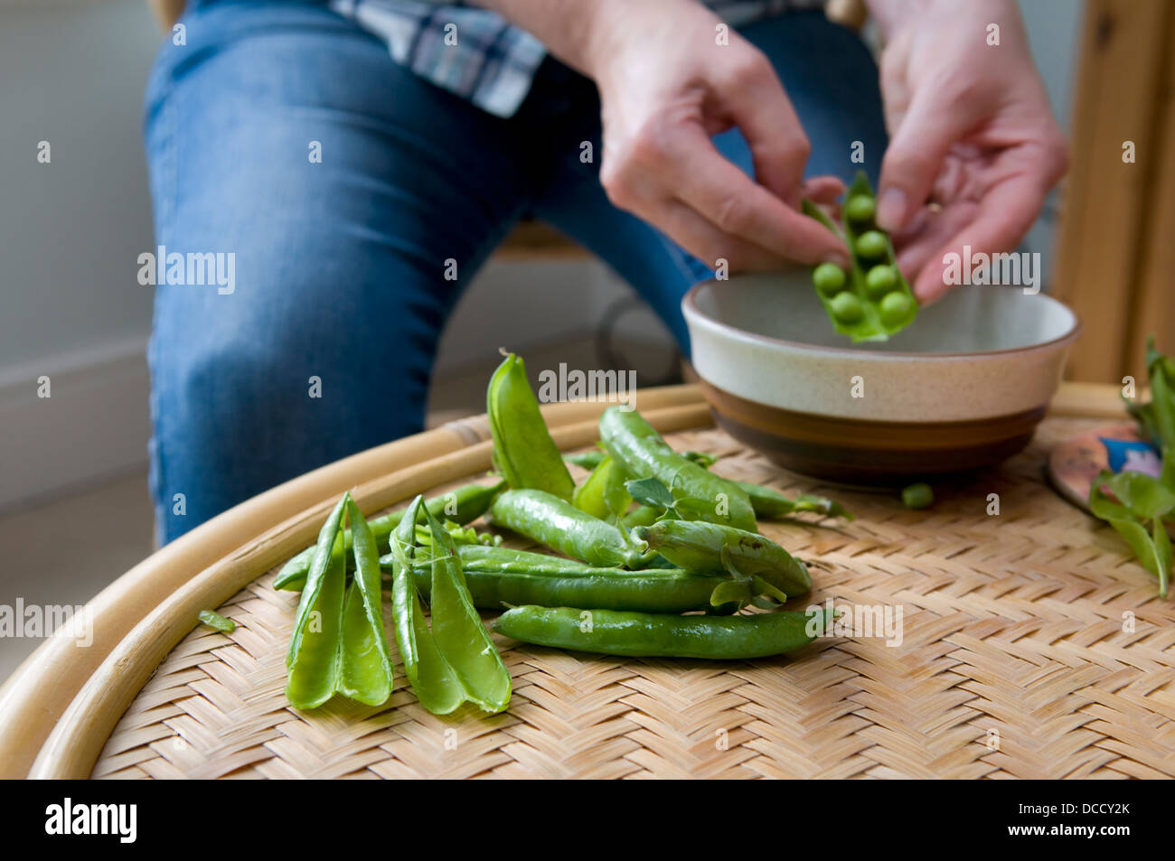 Caucasian woman shelling freshly picked home grown peas into bowl ...