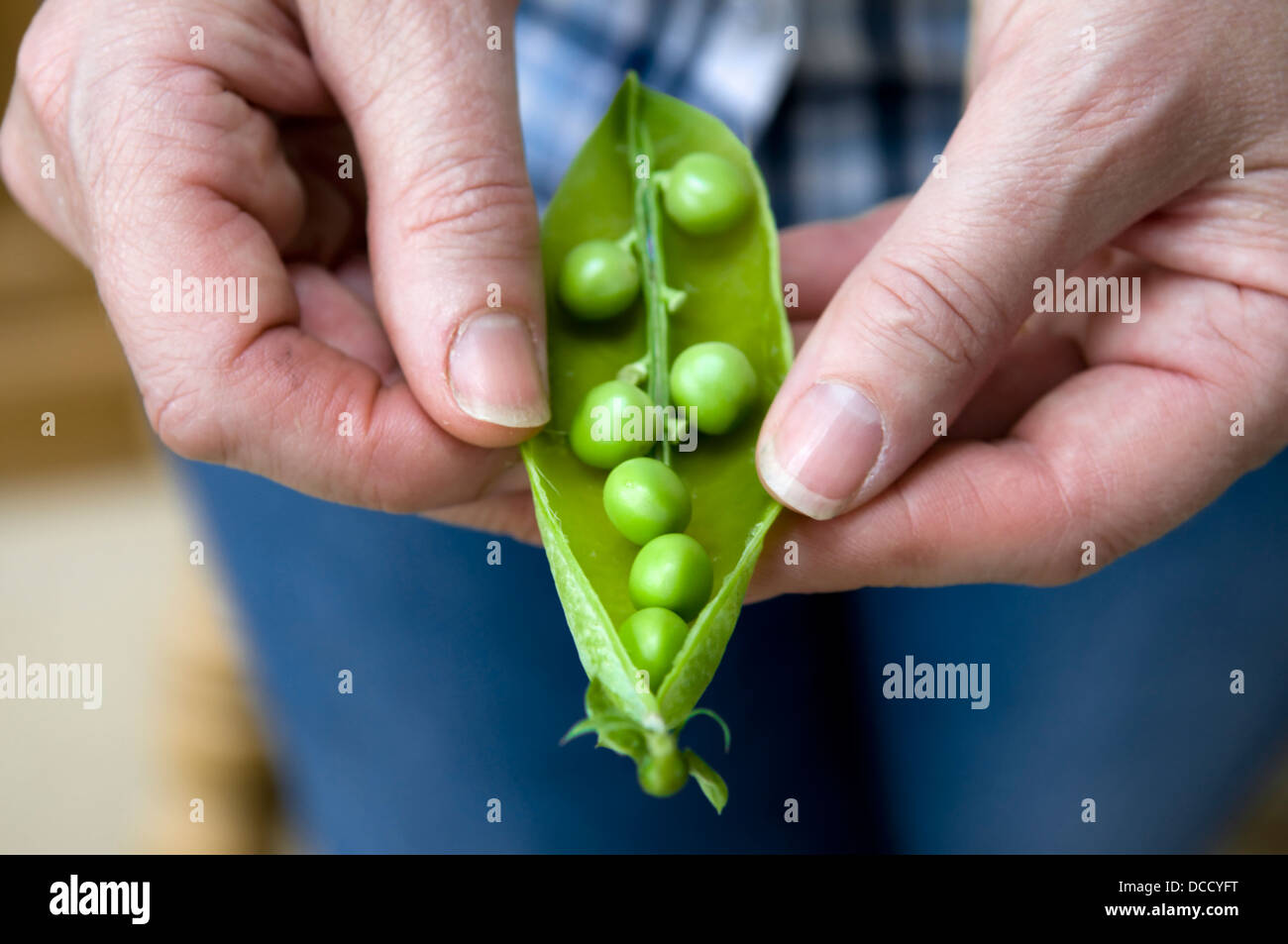 Close up woman peeling freshly hi-res stock photography and images - Alamy