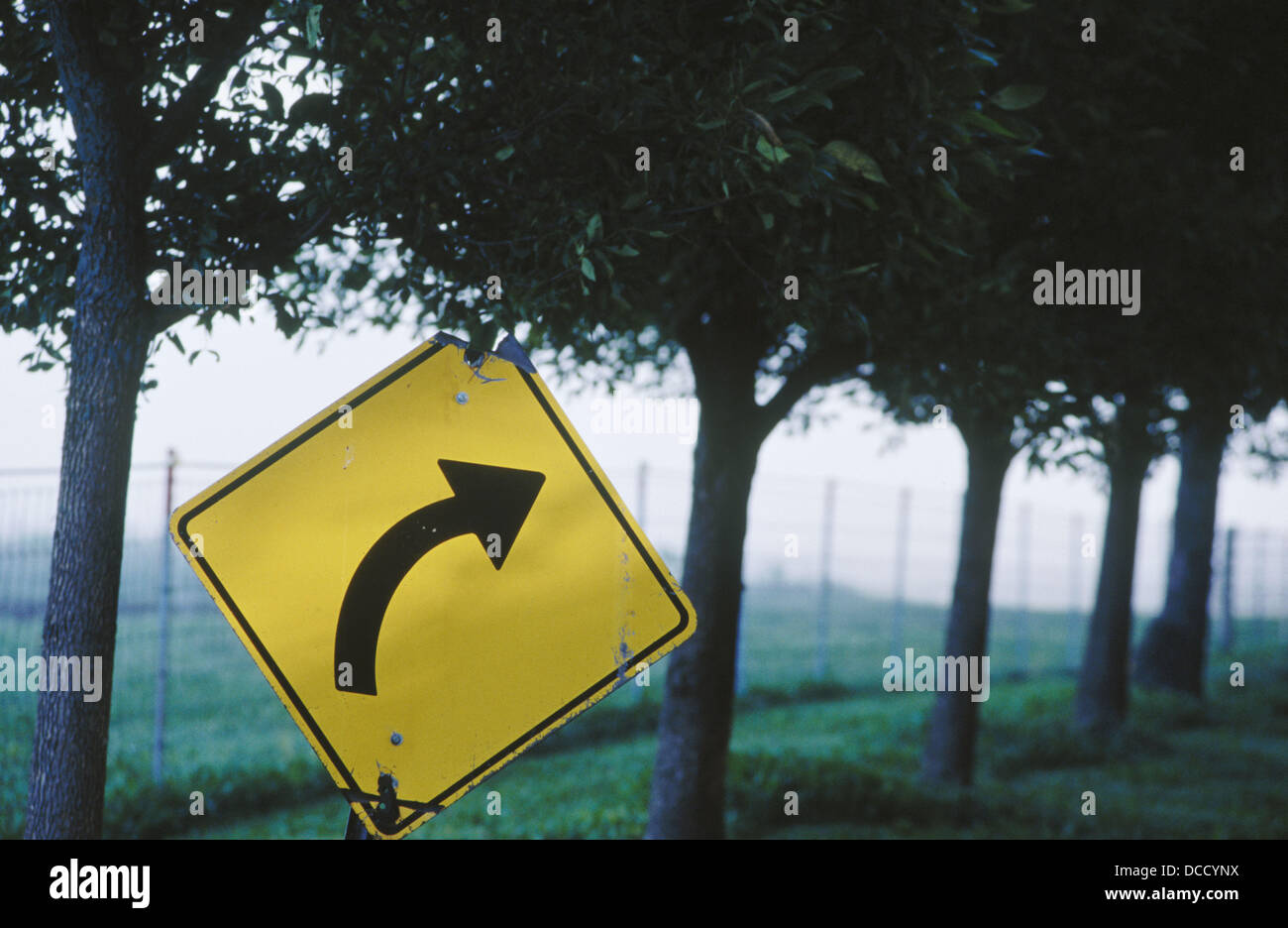 Harvard road hi-res stock photography and images - Alamy