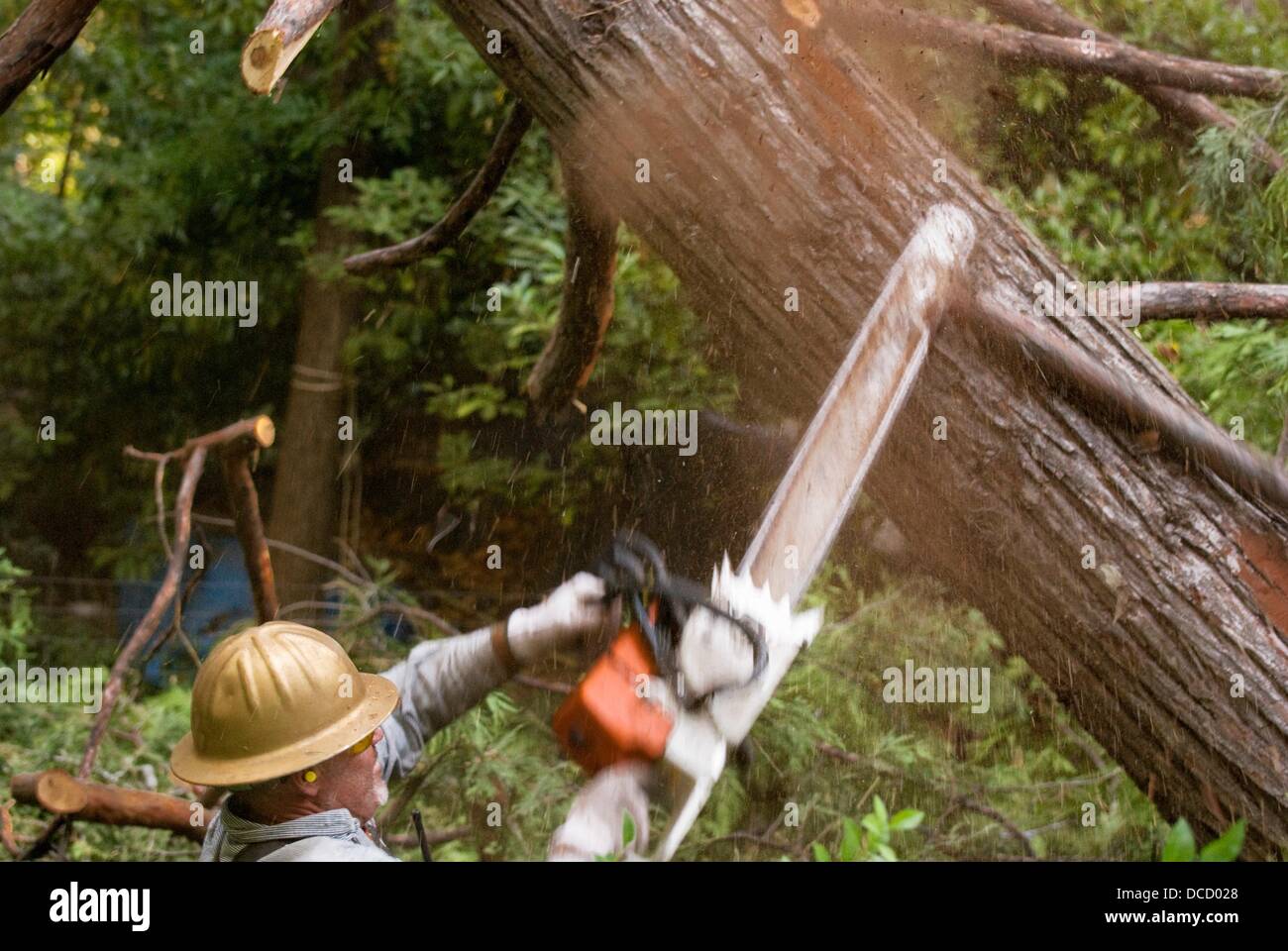 Timber Faller High Resolution Stock Photography and Images - Alamy