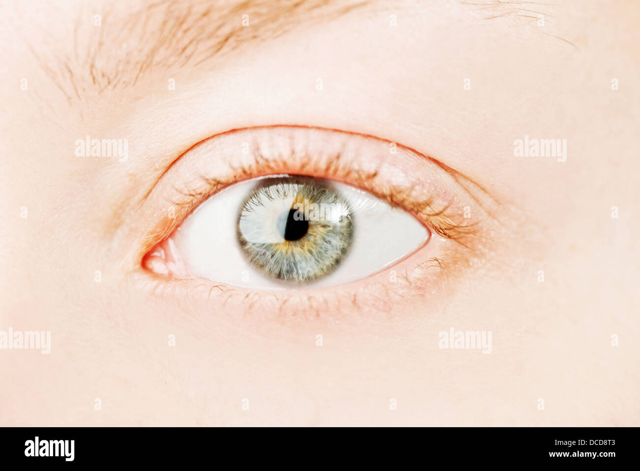 Human gray eye. macro shooting Stock Photo - Alamy