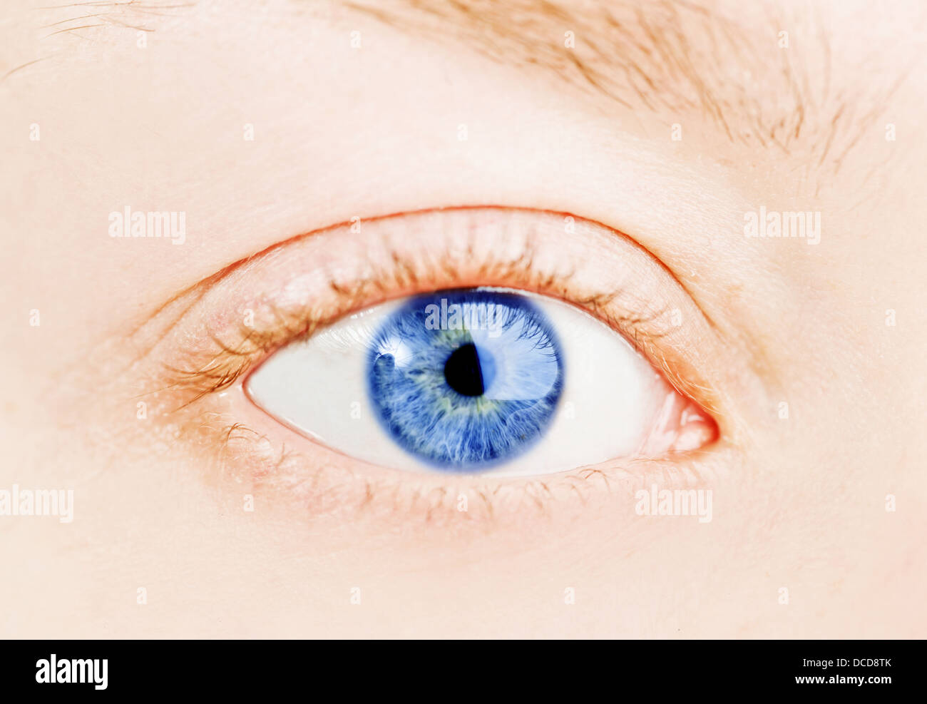 Human blue eye. macro shooting Stock Photo - Alamy