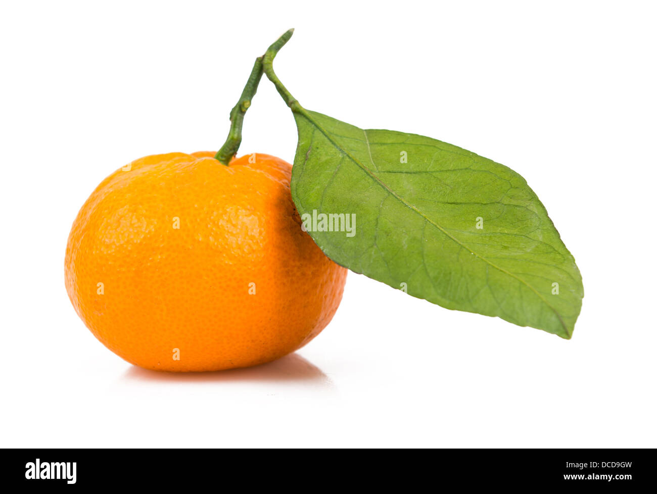 One tangerine hi-res stock photography and images - Alamy