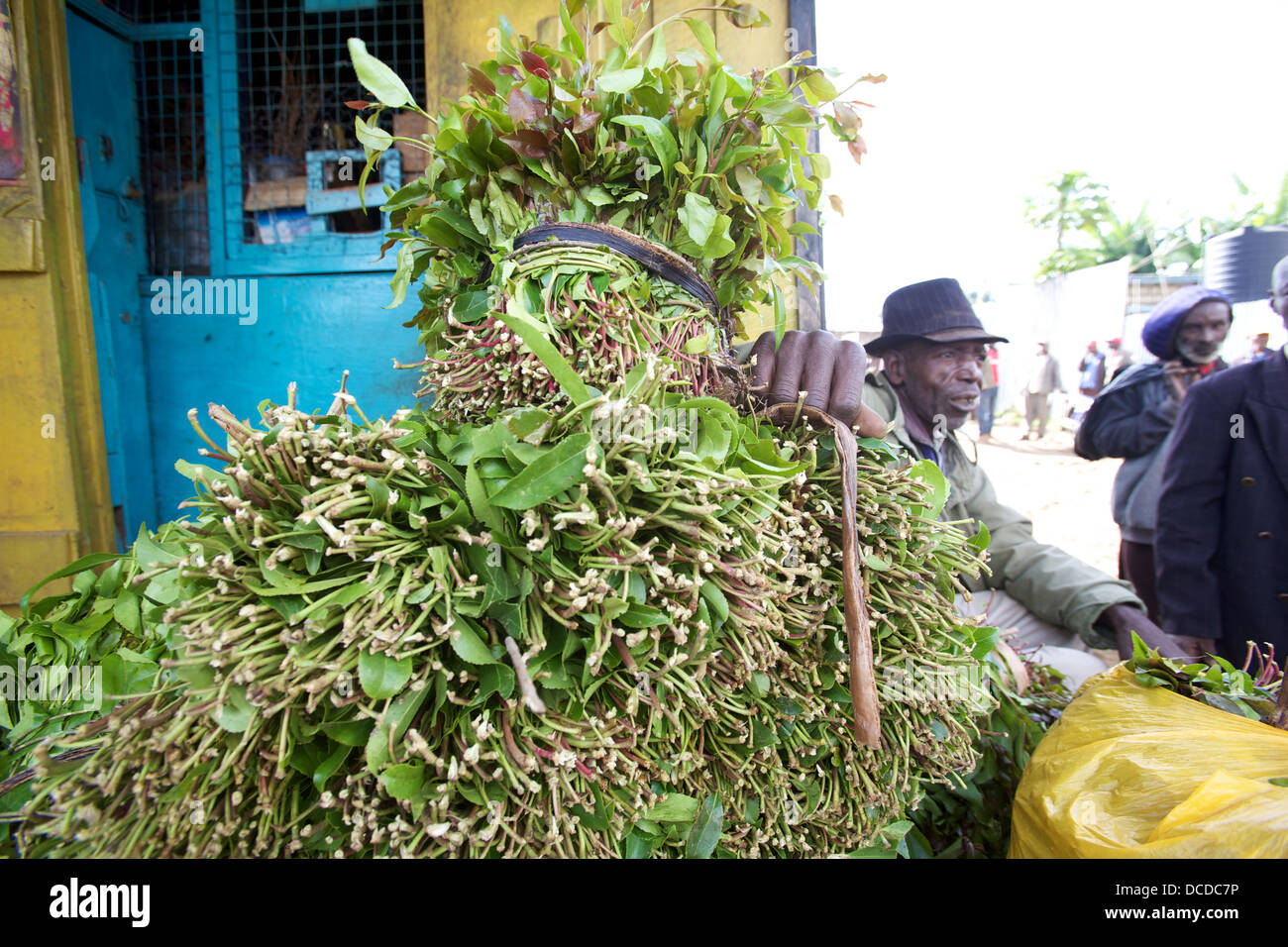 Trader sat next to his bundle of Khat, Maua, Meru Region, Kenya Stock ...