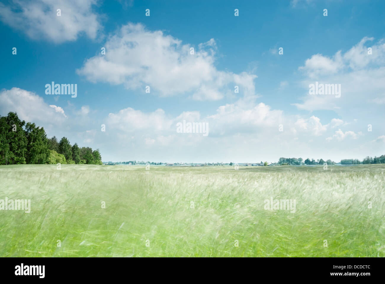 Motion blur in field. Rural landscape, Poland Stock Photo - Alamy