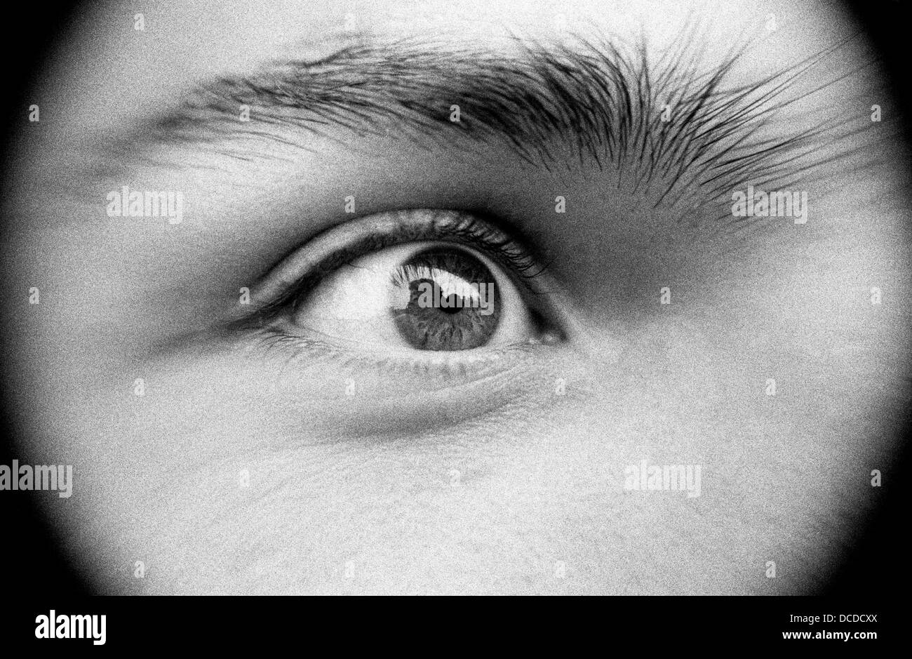 Monochromatic vision Black and White Stock Photos & Images - Alamy