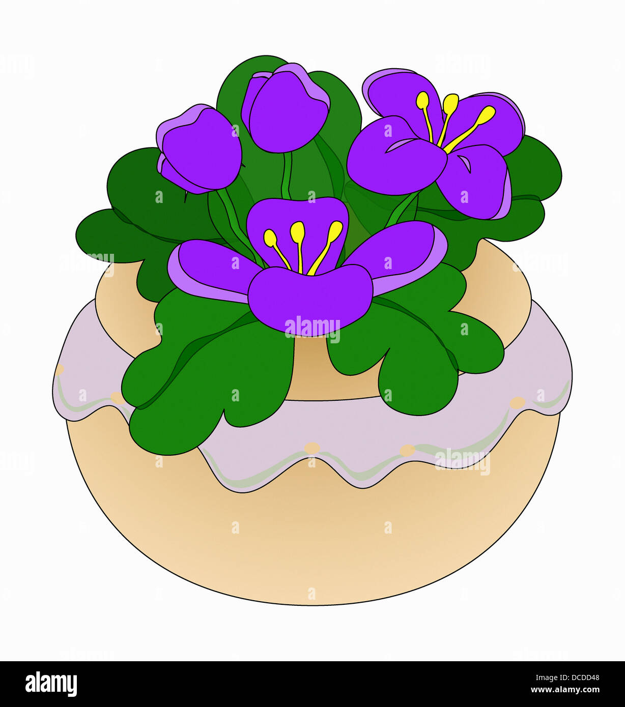 Flower violets illustration Cut Out Stock Images & Pictures - Alamy