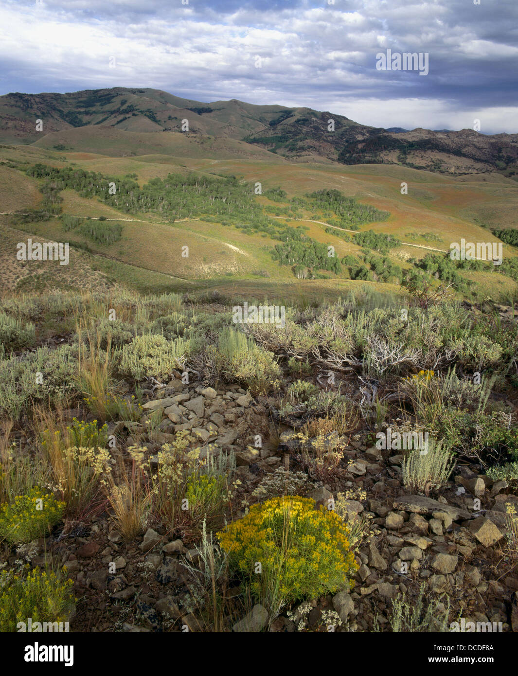 Copper mountain nevada hi-res stock photography and images - Alamy
