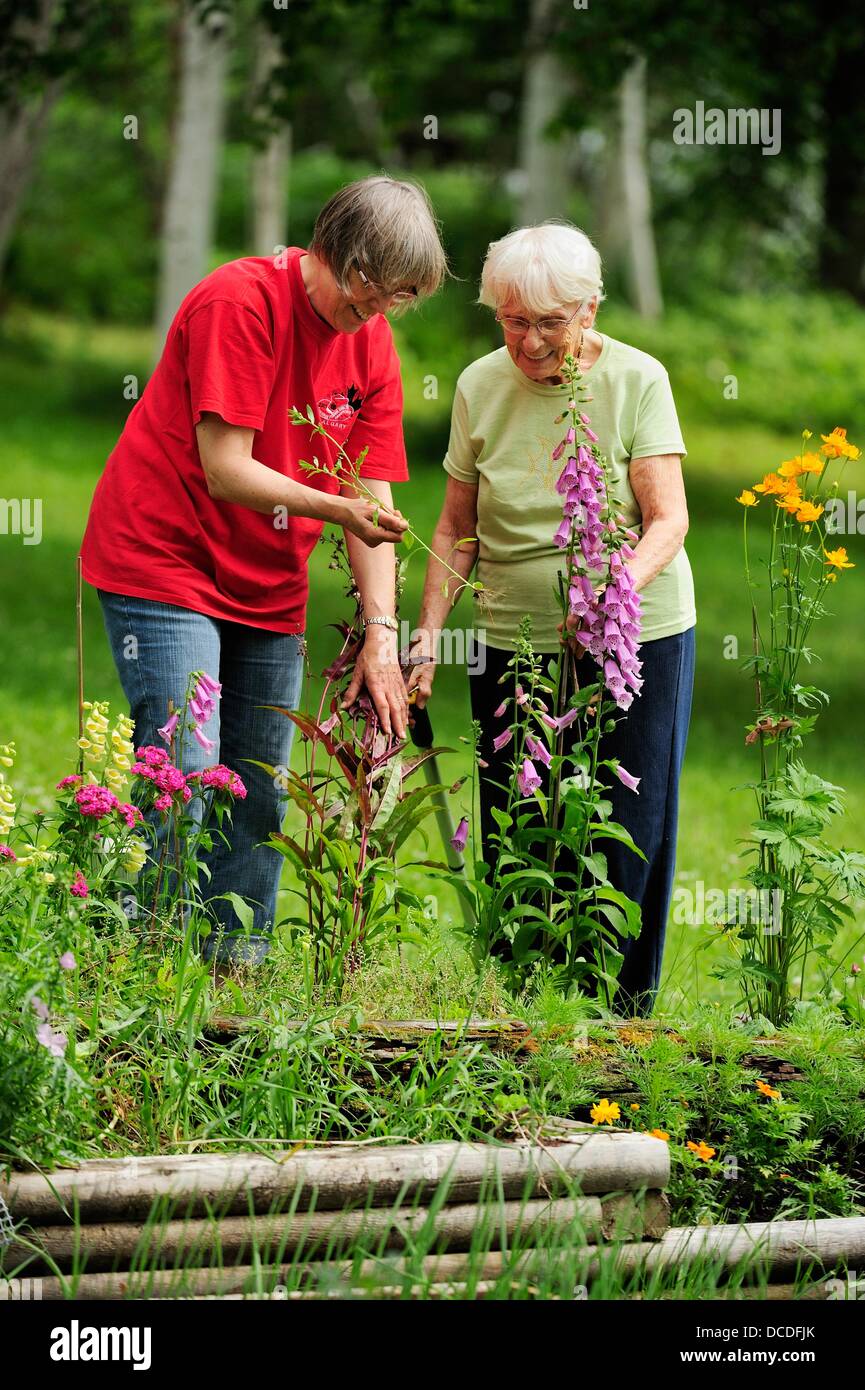 86 Eighties High Resolution Stock Photography and Images - Alamy