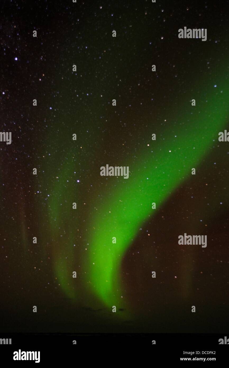 Ursa major arctic hi-res stock photography and images - Alamy