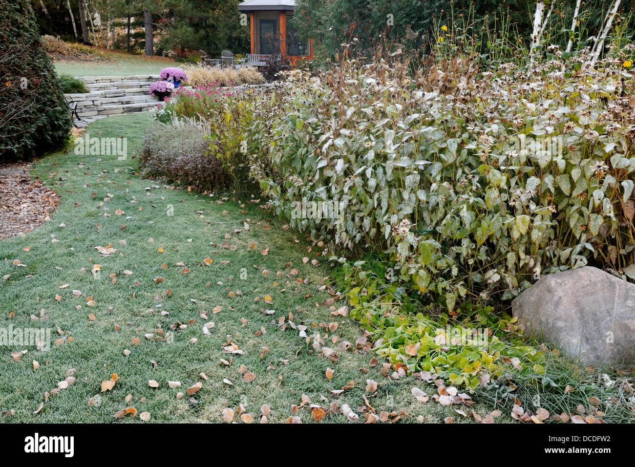 Naturalized Backyard High Resolution Stock Photography and Images - Alamy