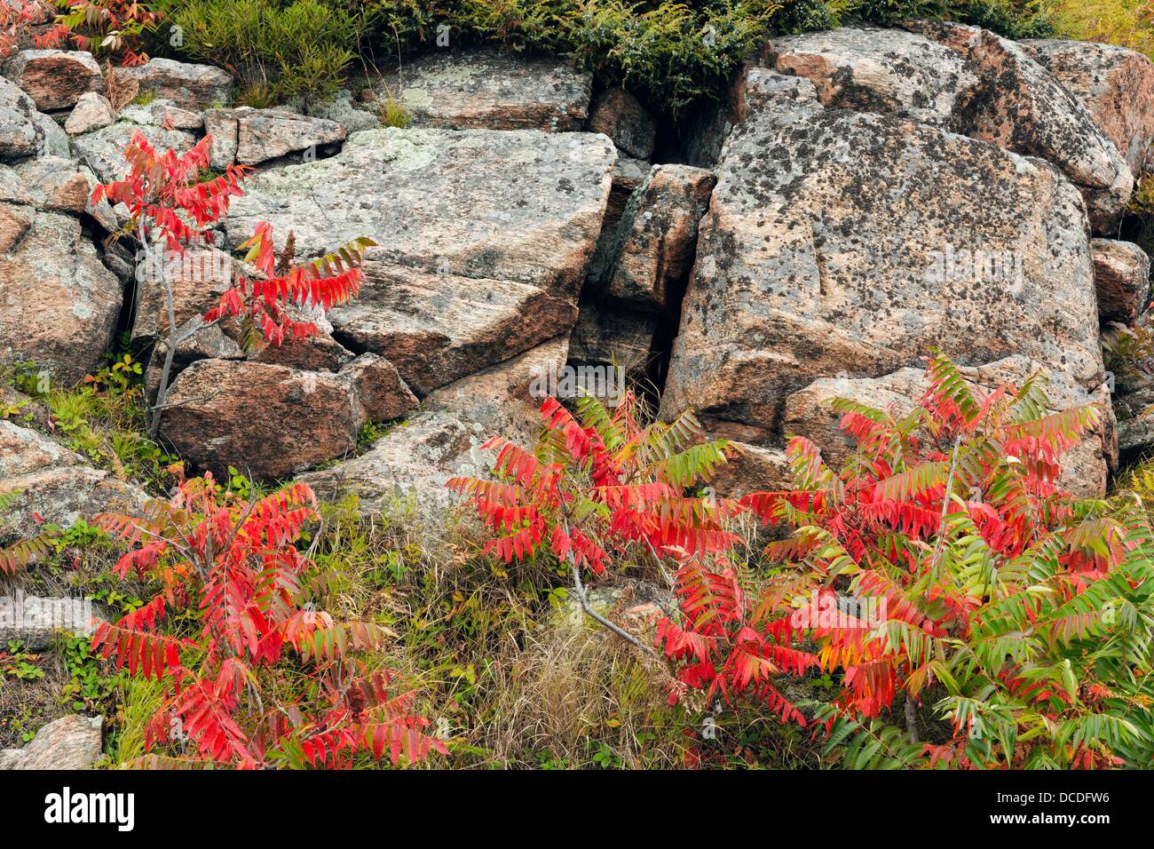 Pre cambrian granite outcrops hi-res stock photography and images - Alamy