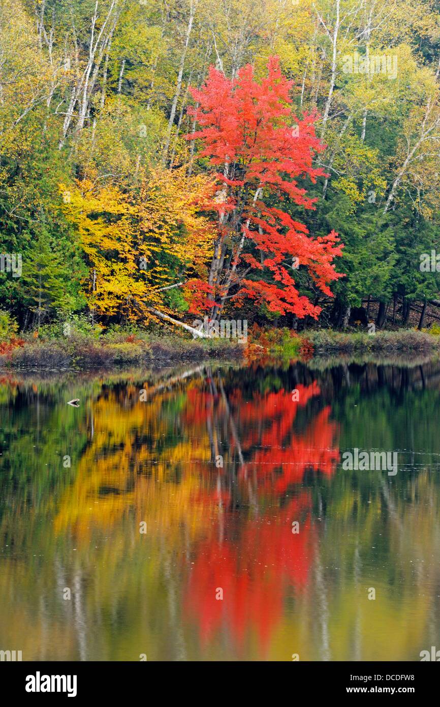 Ril lake hi-res stock photography and images - Alamy