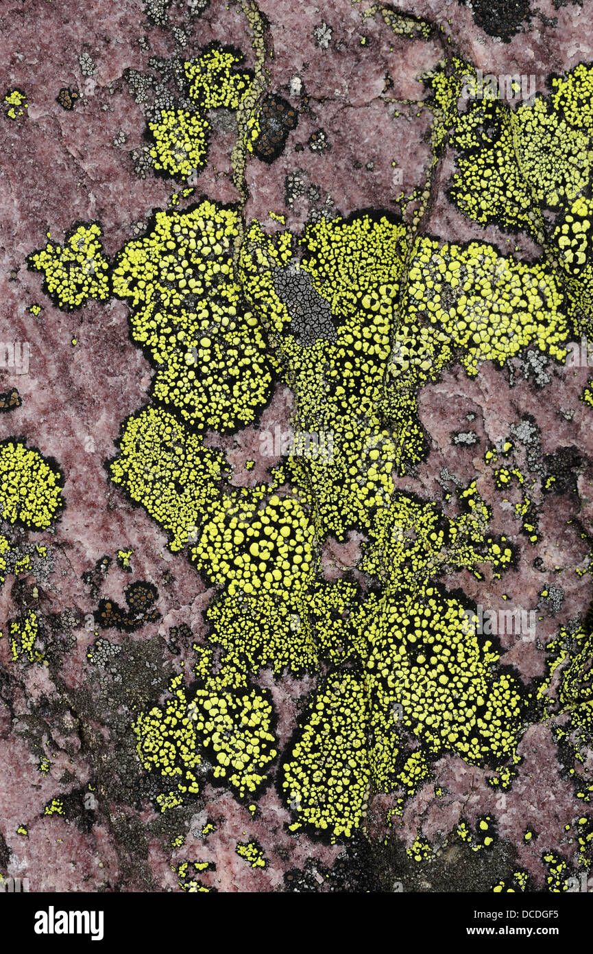 British colonies north america map hi-res stock photography and images ...