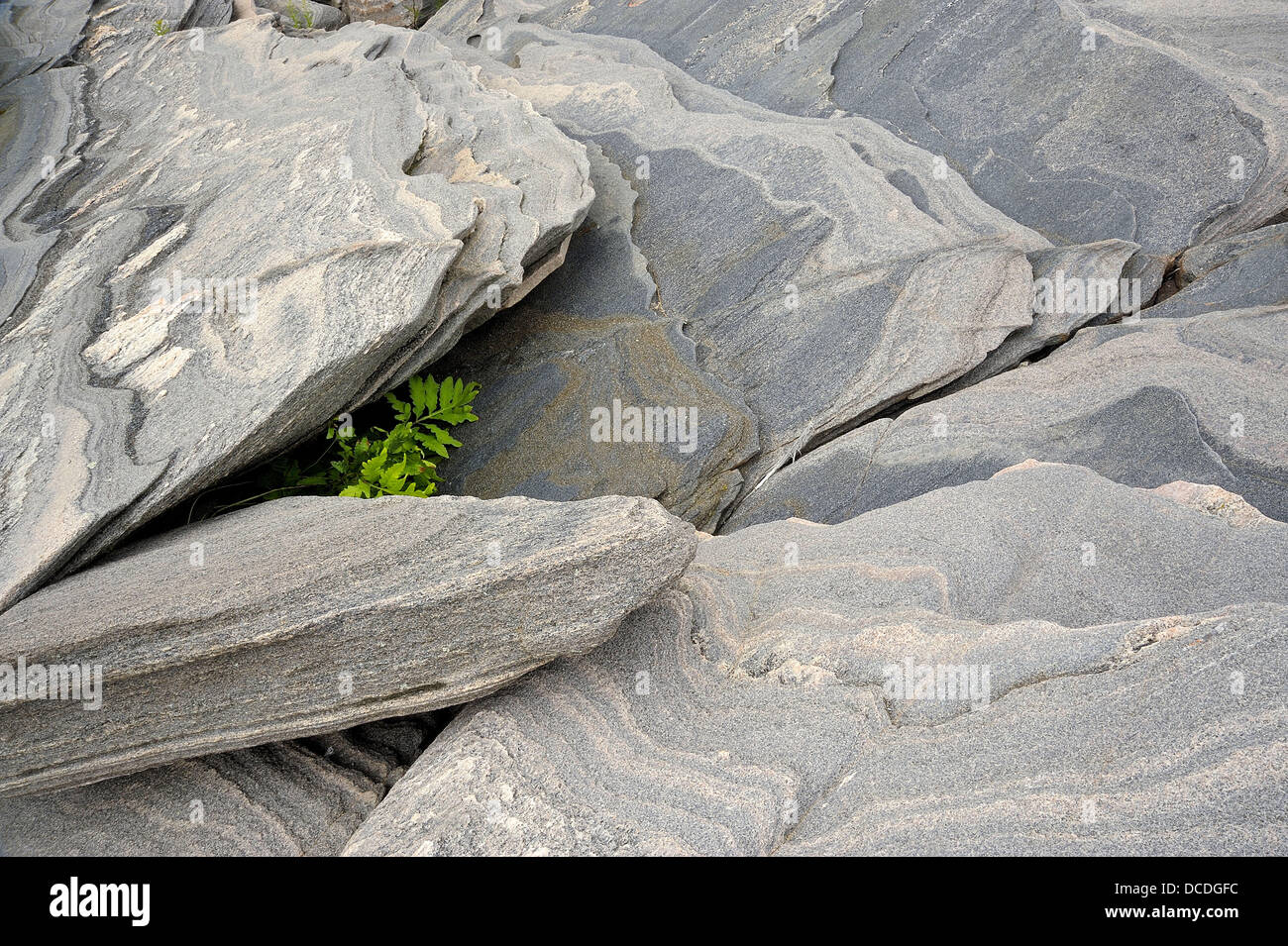 Polished gneiss hi-res stock photography and images - Alamy