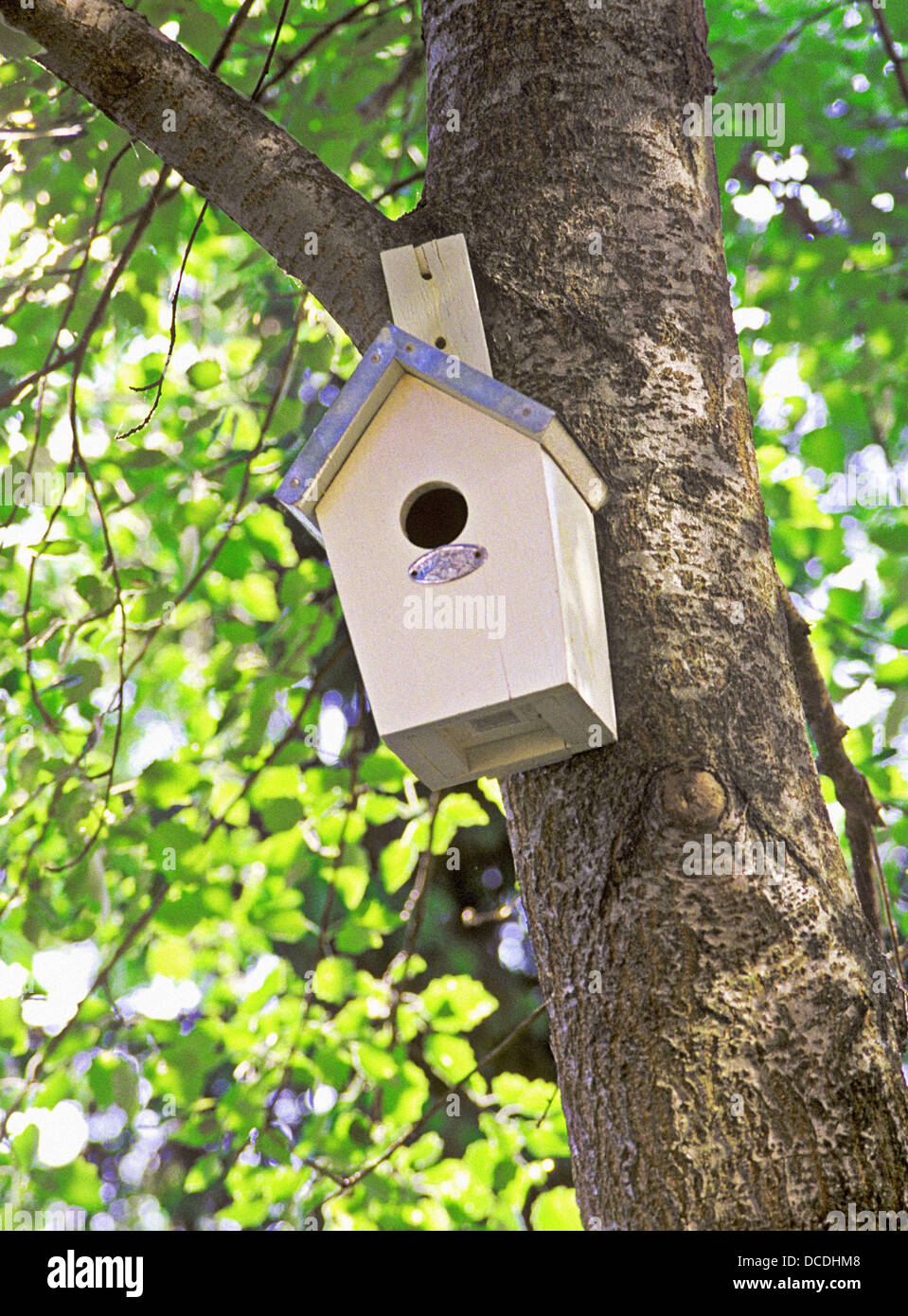 Bird House, Netherlands Stock Photo - Alamy