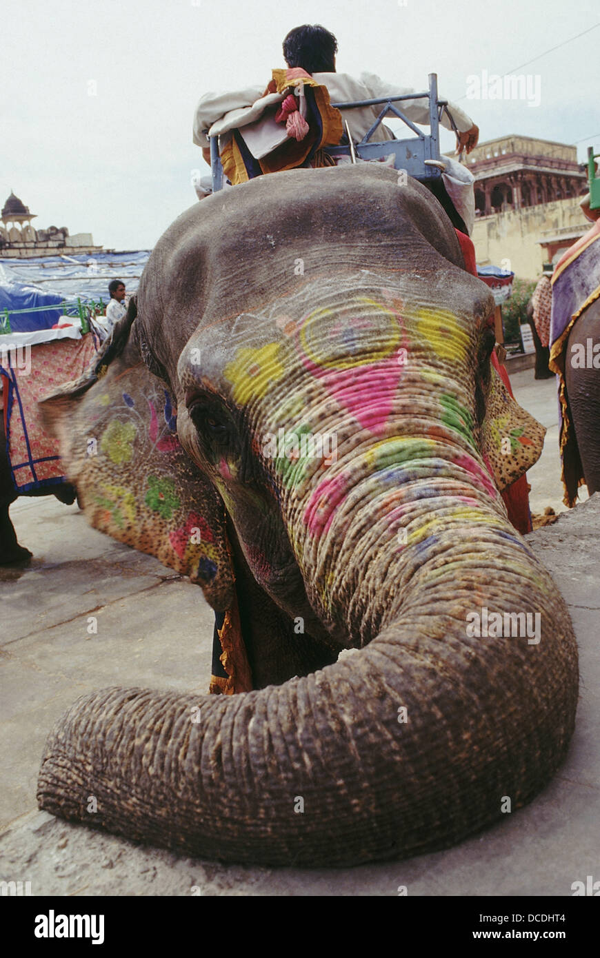 Elephant Rider India High Resolution Stock Photography and Images - Alamy
