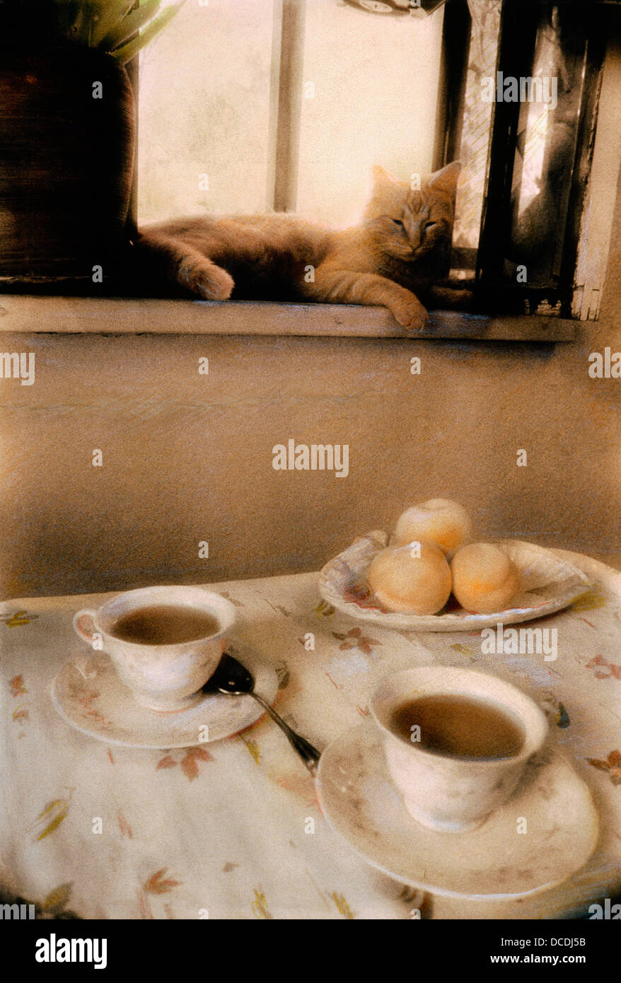 Cat in window with coffee cups and fruit on table Stock Photo - Alamy