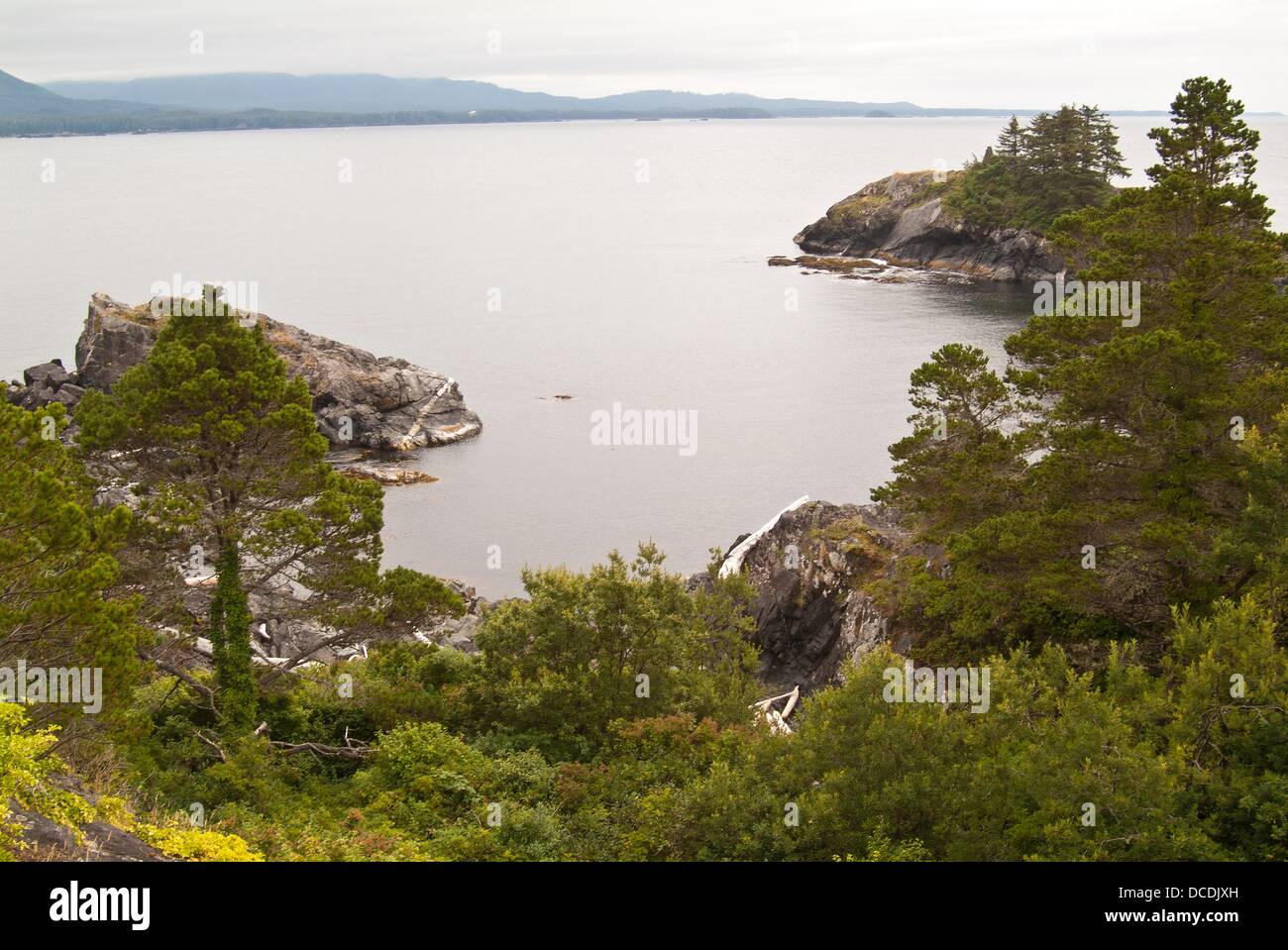 Nootka island friendly cove hi-res stock photography and images - Alamy