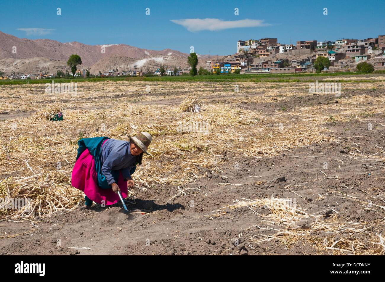Worker agricultural workers hi-res stock photography and images - Alamy