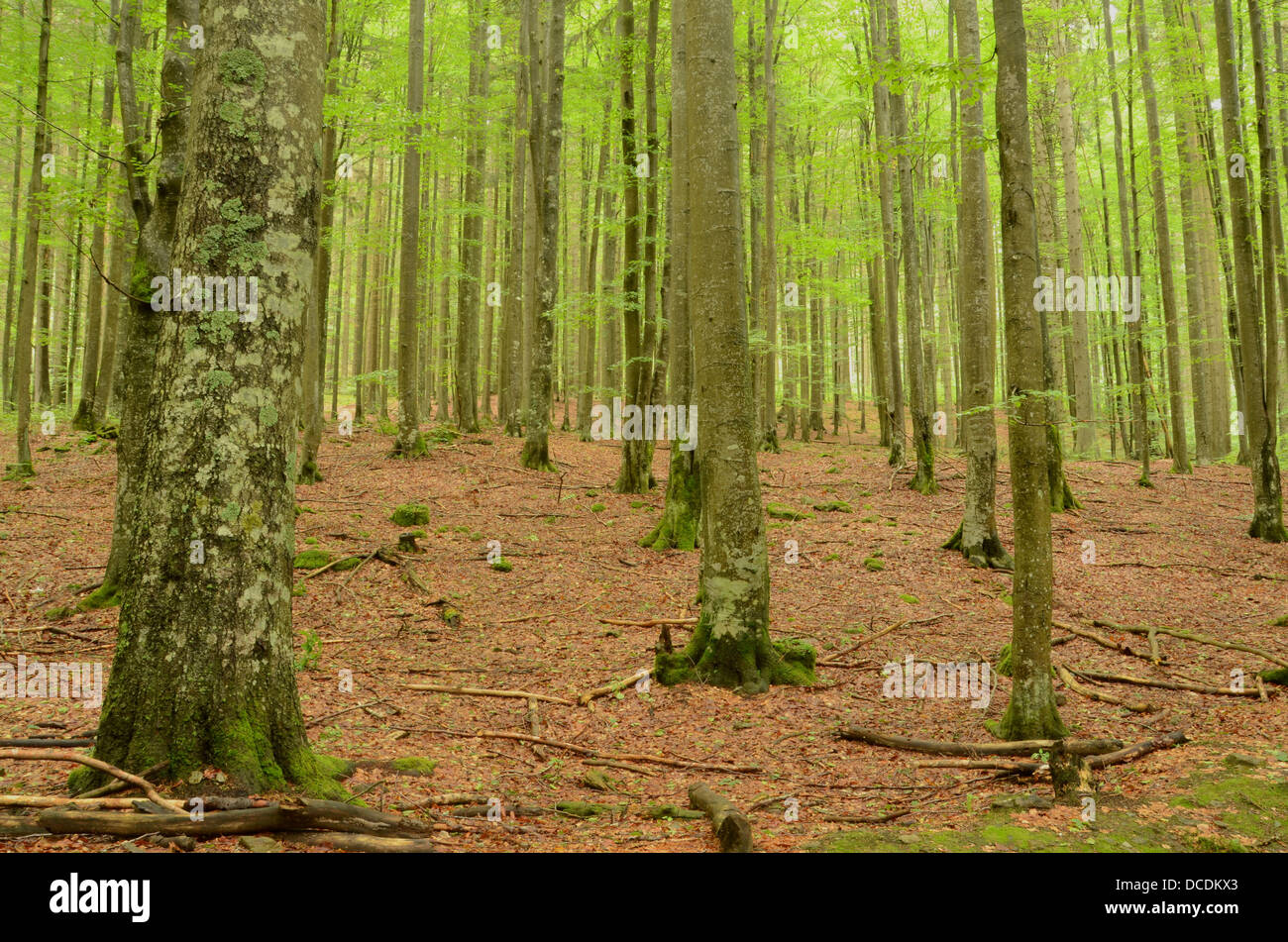 Boubin hi-res stock photography and images - Alamy