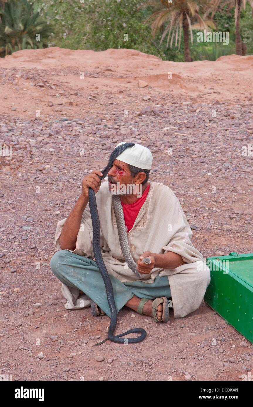 Snake Charmer High Resolution Stock Photography and Images - Alamy